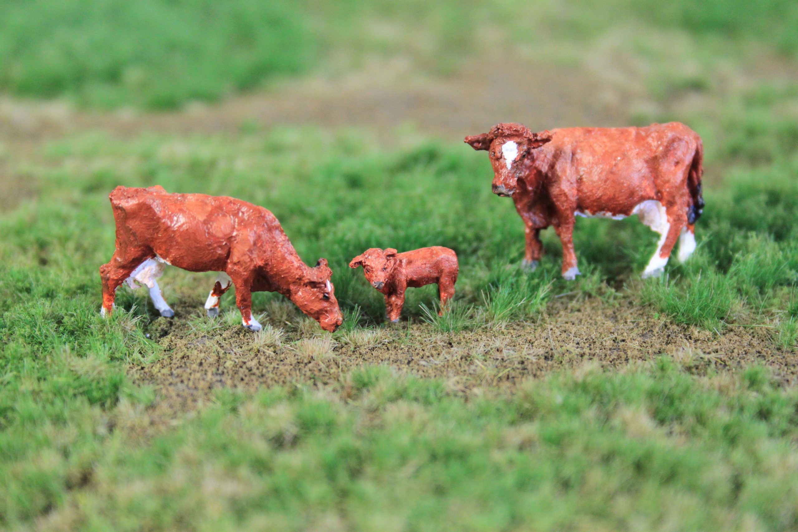 H0 Aussie Red Cows, 3 Pack - E-trains
