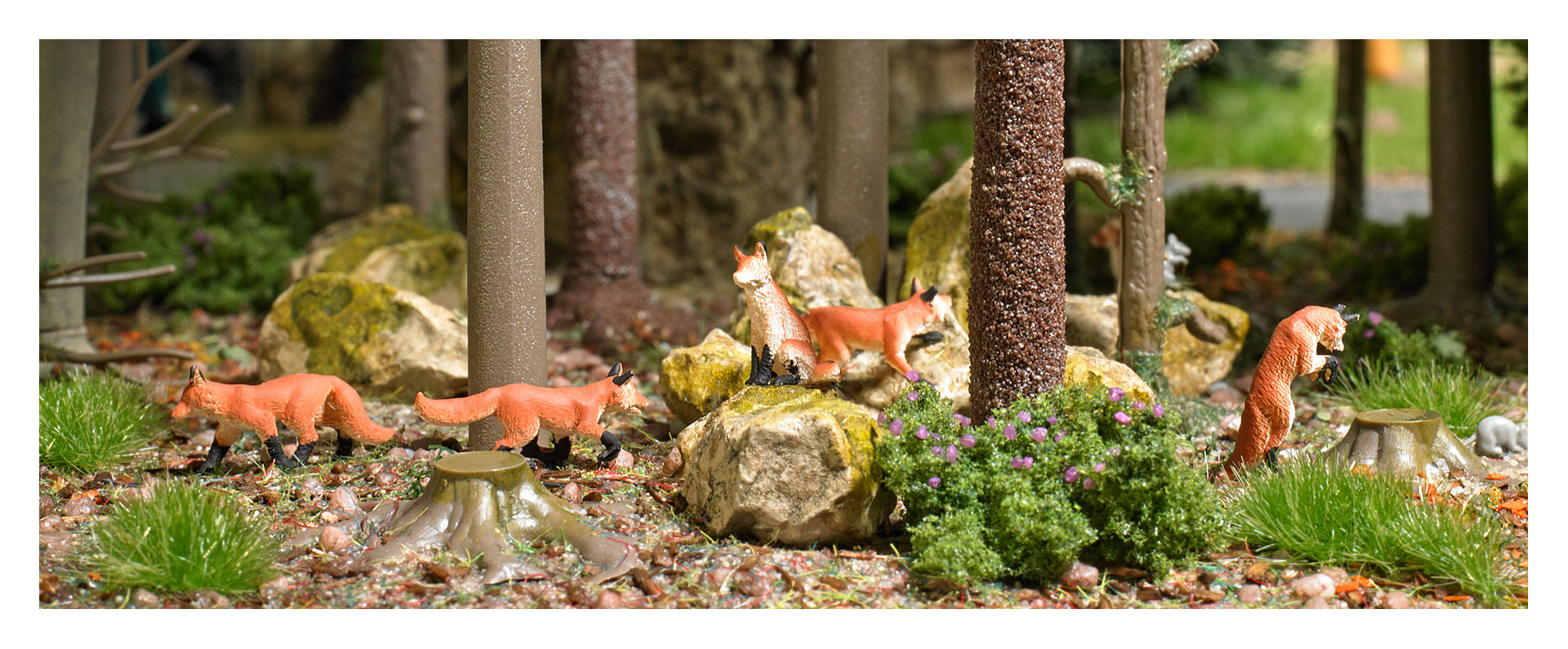 Fox pack consisting of 5 red foxes - E-trains