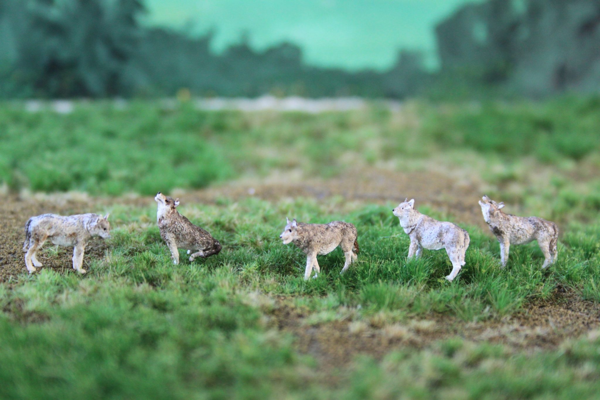 H0 Wolf pack 5 pieces - Hand Painted - E-trains