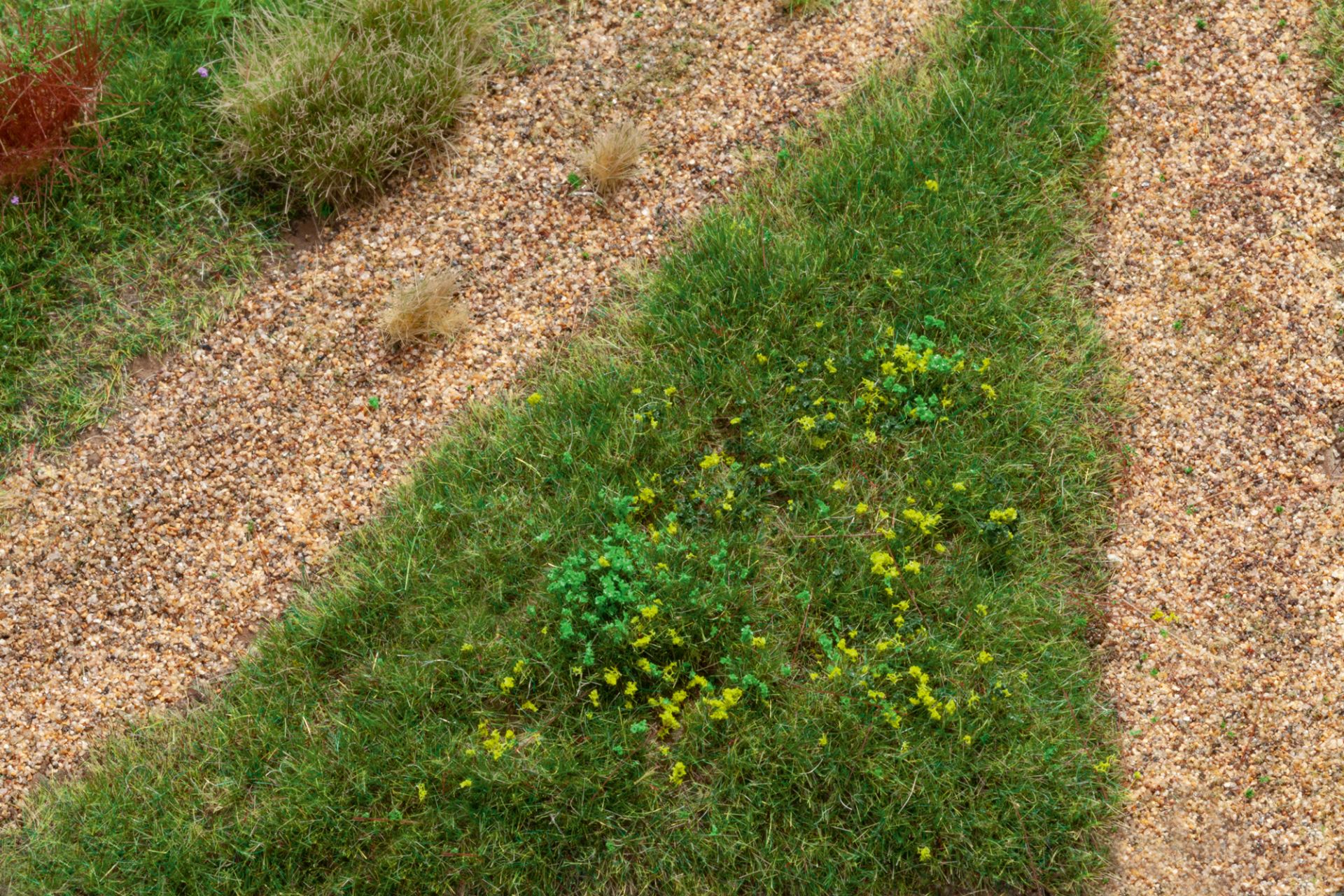 Flock set 2 - E-trains